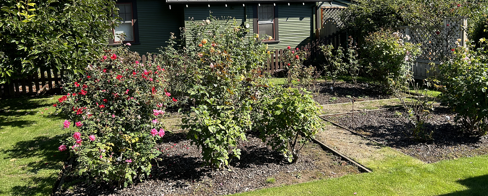 Join Our Cultivating Community - West Linn Garden Club